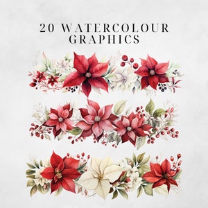 Christmas Poinsettia Flowers Clipart Bundle, Watercolour Flower ...