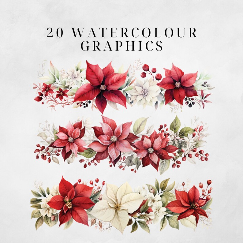 Christmas Poinsettia Flowers Clipart Bundle, Watercolour Flower ...