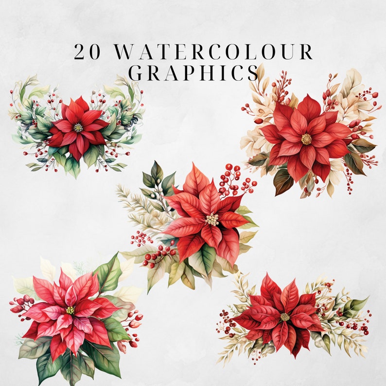 Christmas Poinsettia Flowers Clipart Bundle, Watercolour Flower ...