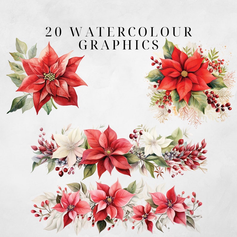 Christmas Poinsettia Flowers Clipart Bundle, Watercolour Flower ...