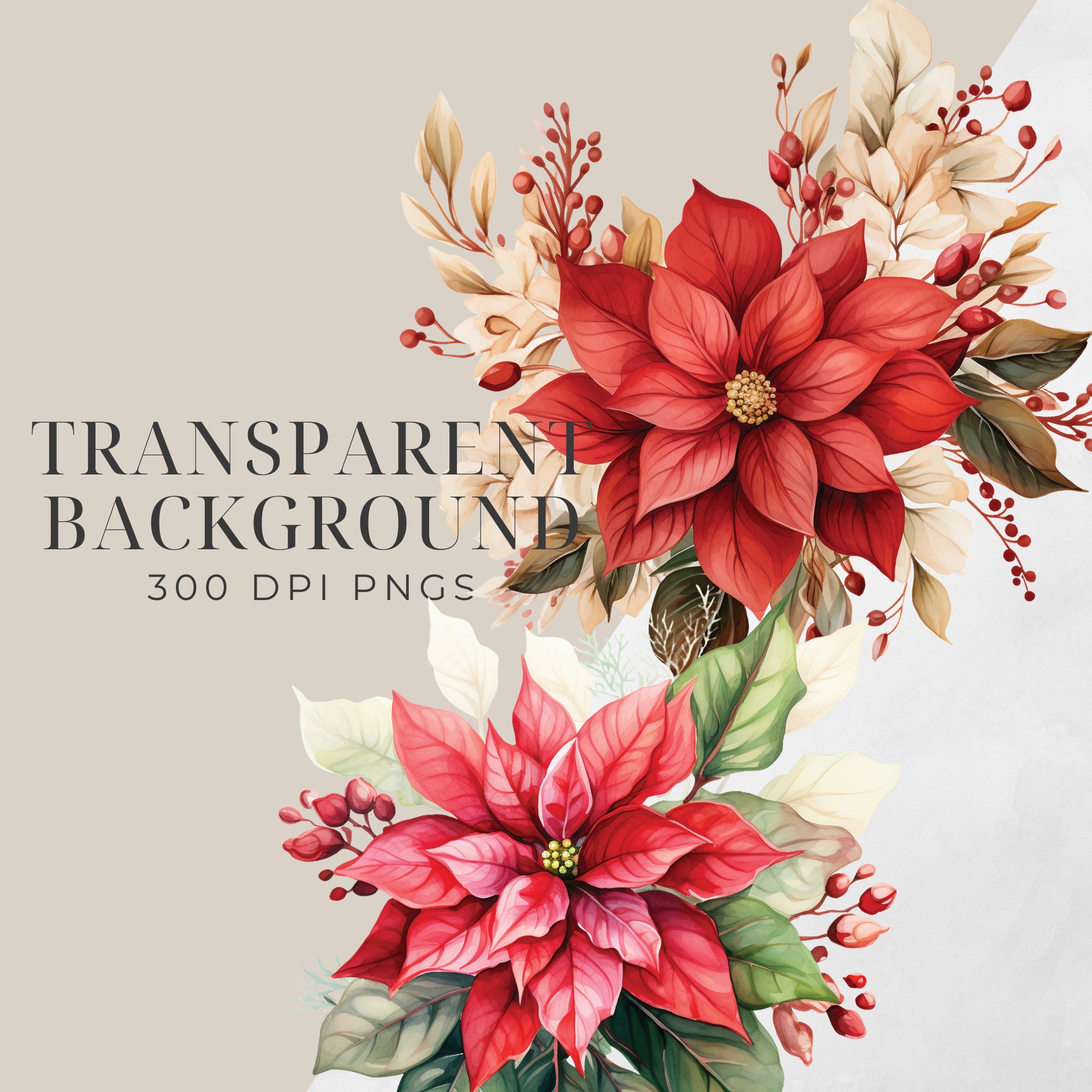 Christmas Poinsettia Flowers Clipart Bundle, Watercolour Flower ...