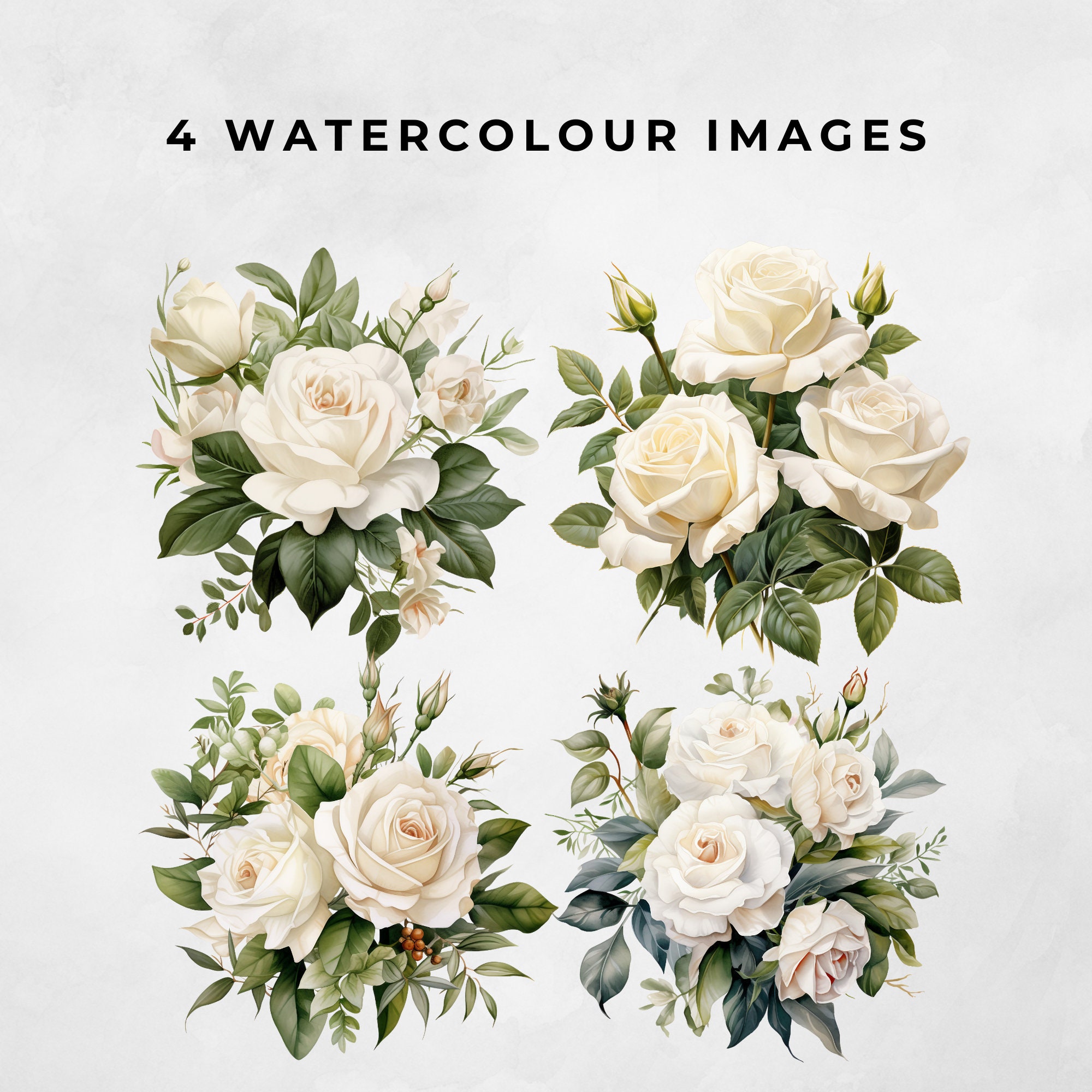 White Roses, Wedding Flower PNG, Ivory Bouquets, Spring Summer Fall ...