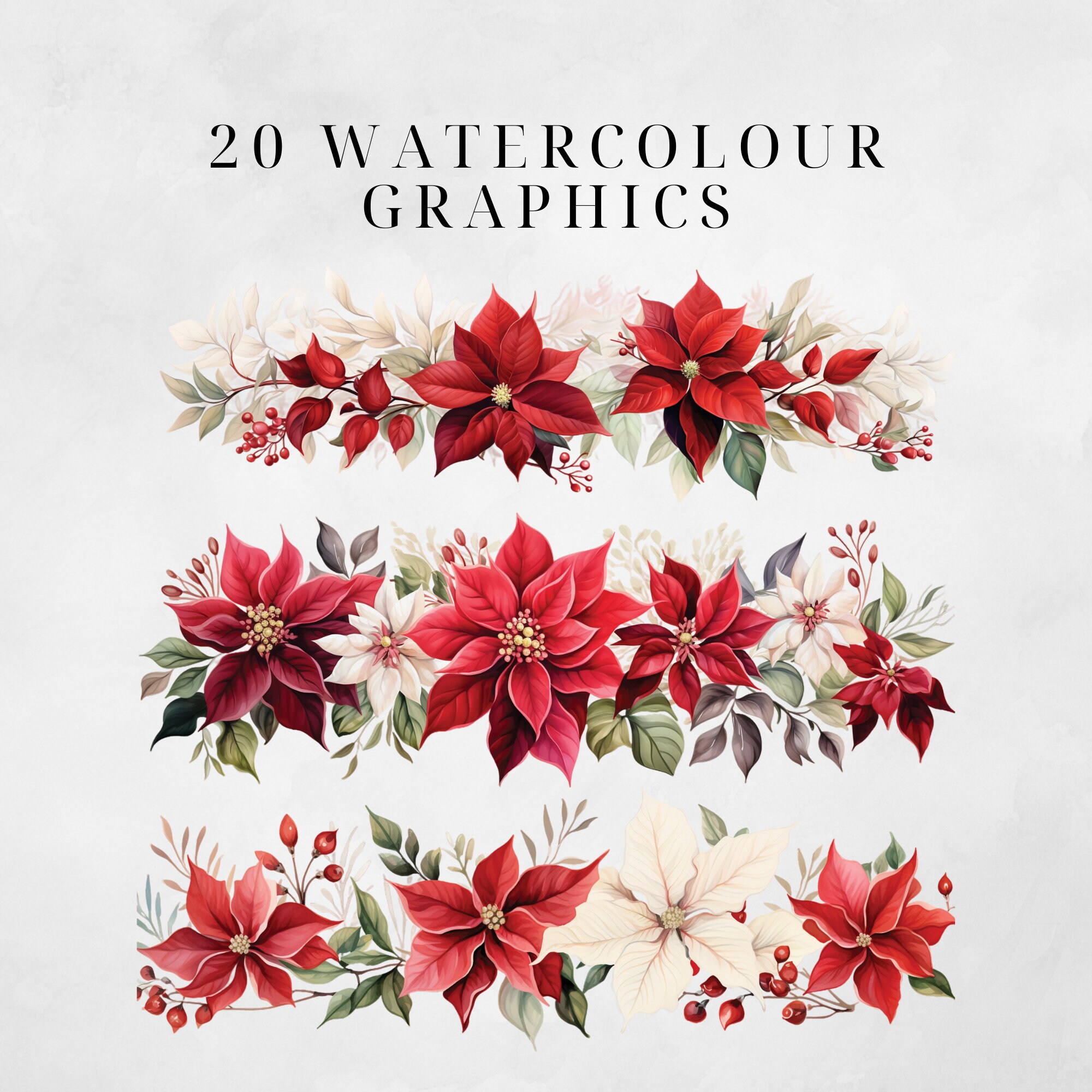 Christmas Poinsettia Flowers Clipart Bundle, Watercolour Flower ...