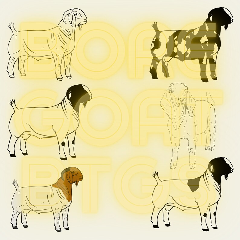 Boer Goat Buck Bundle Digital Download - PNG - SVG - Show Goat - Show ...