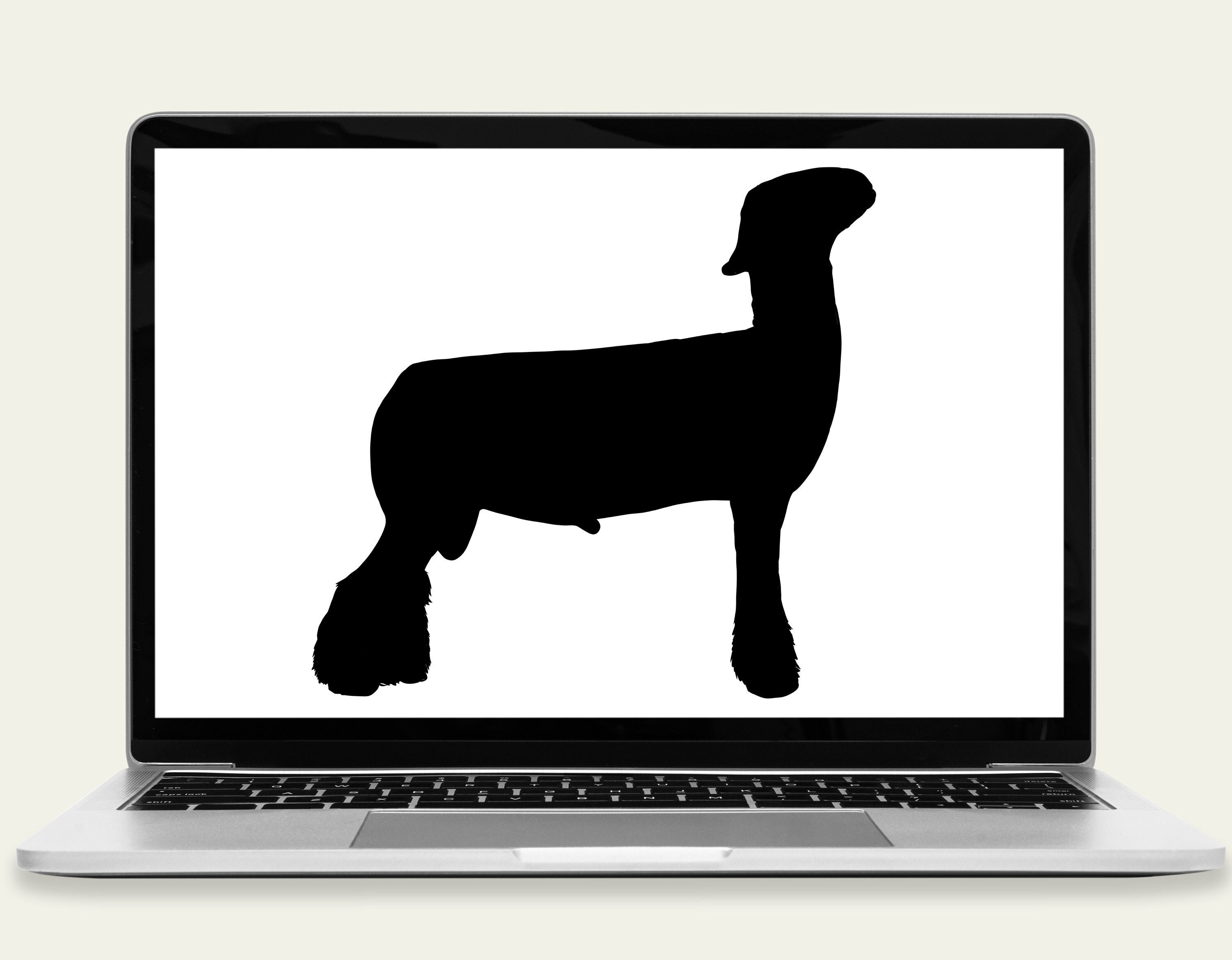 Club Lamb Bundle Digital Download PNG SVG Show Lamb Show Seep for ...