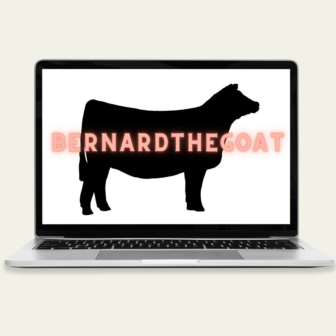 Beef Show Cow Bundle Digital Download - PNG - SVG - Show Lamb- Show ...