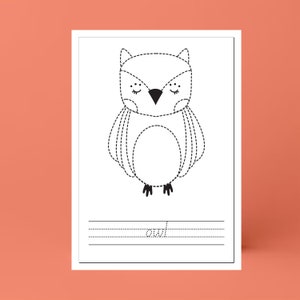 Animal Tracing Kids Activity Book | Educational Workbook | Fun Animal ...