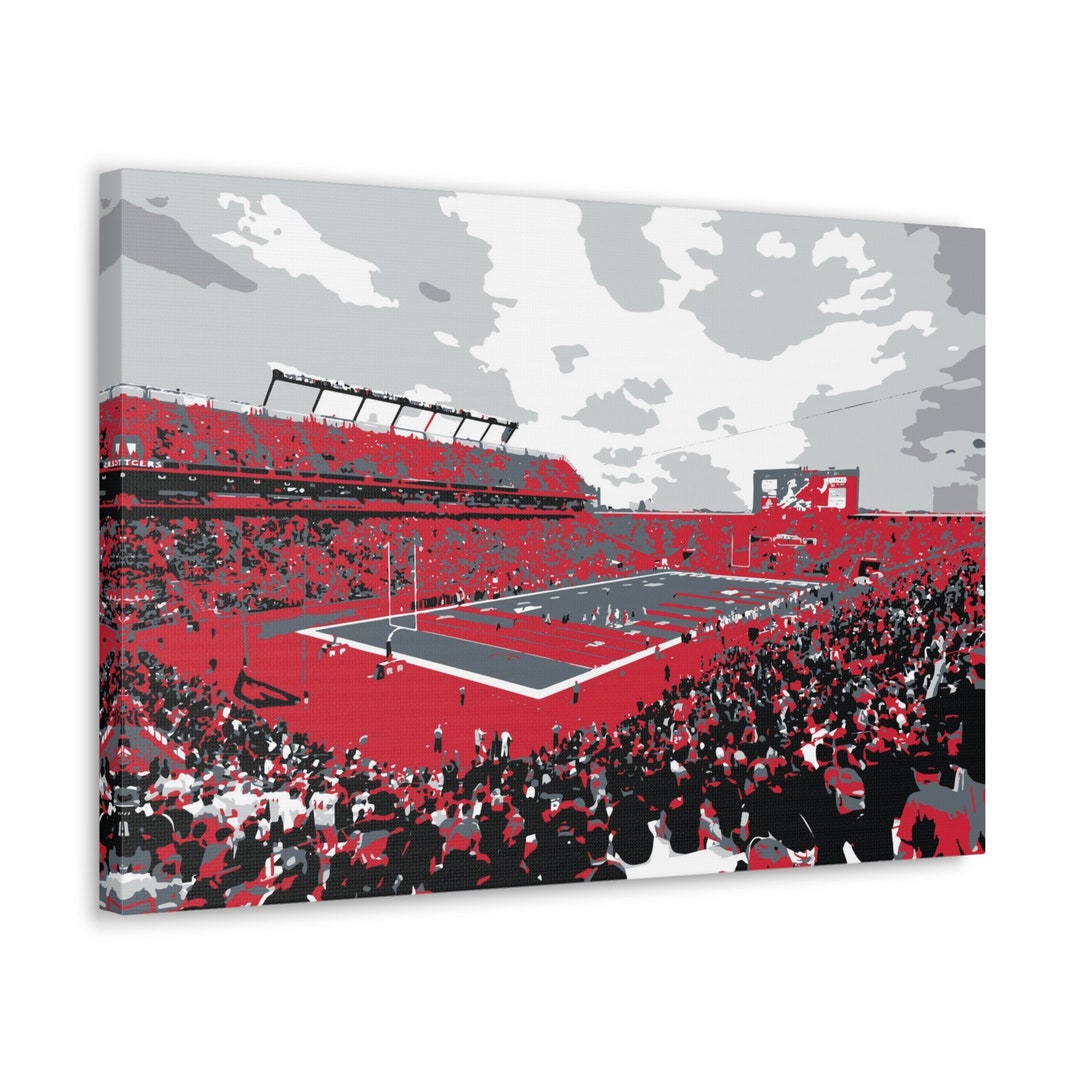 Rutgers University SHI Football Stadium Canvas Abstract Art, Ready to ...