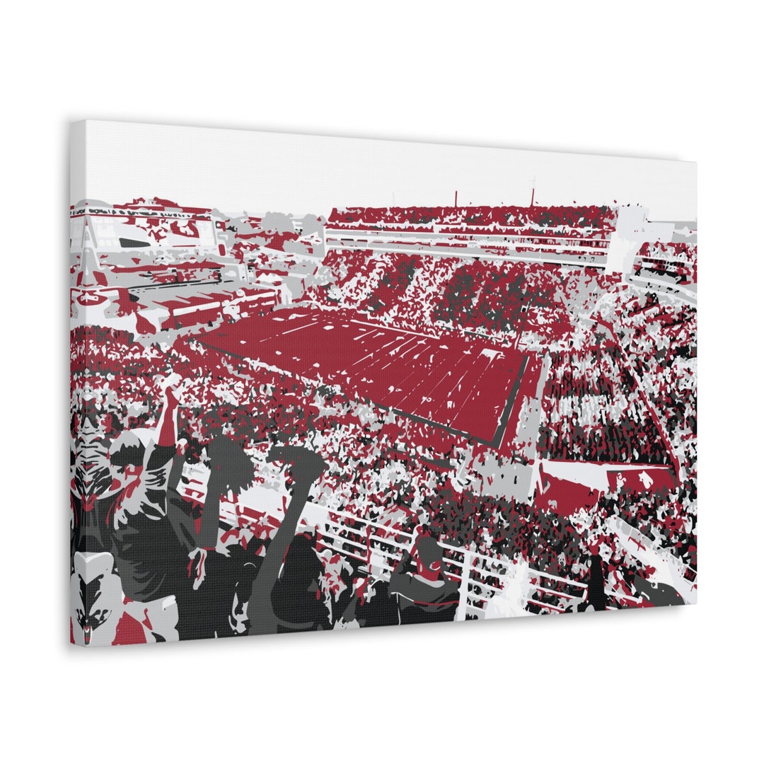 University of Arkansas Razorback Football Stadium Canvas Abstract Art ...