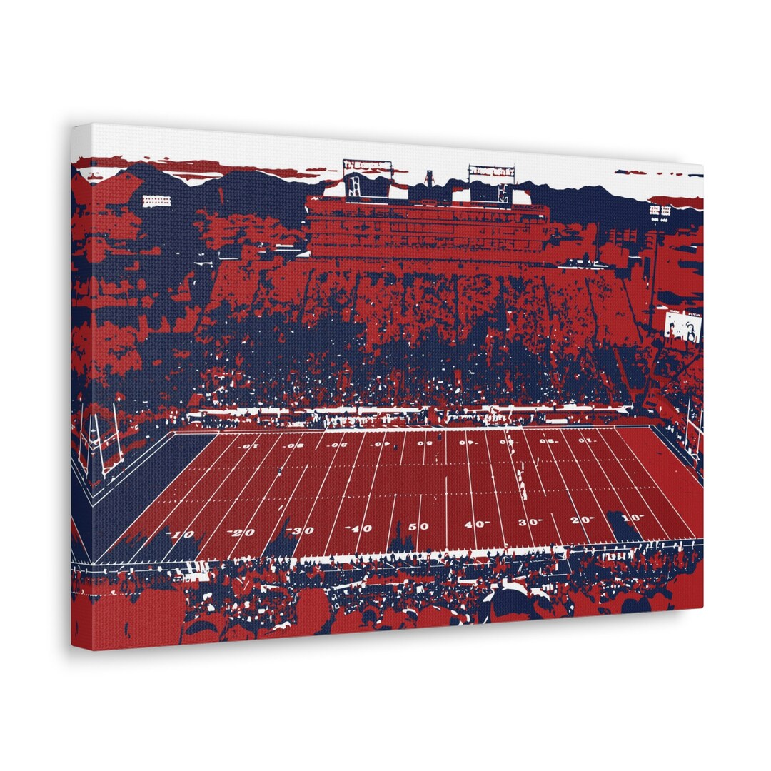 University of Arizona, Arizona Football Stadium Canvas Abstract Art ...