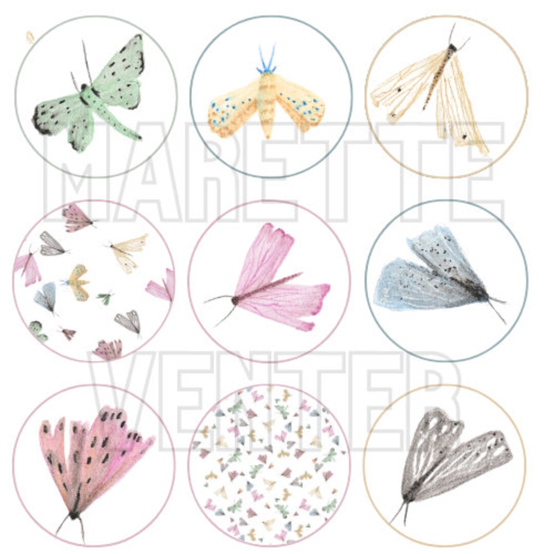 Moth Themed Cupcake Toppers - Etsy