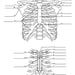 Human Anatomy Coloring Book: 100 Detailed Illustrations and Facts in an ...