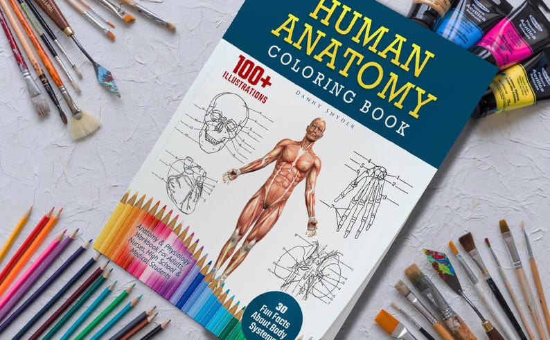 Human Anatomy Coloring Book 100 Detailed Illustrations And Facts In An