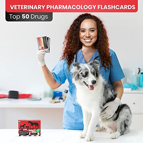 Veterinary Pharmacology Printable Flashcards | Instant DOWNLOAD | Vet ...