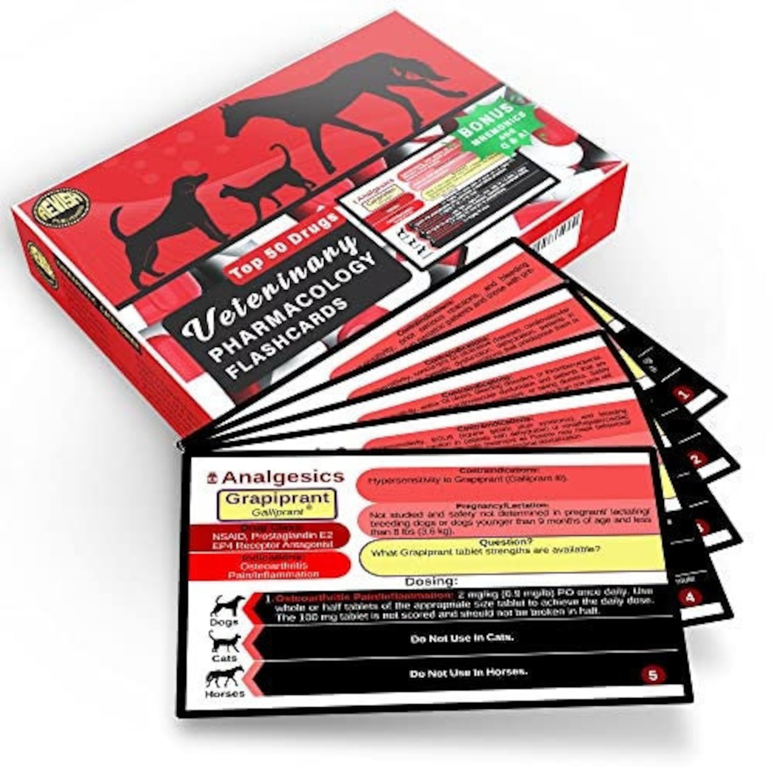 Veterinary Pharmacology Printable Flashcards | Instant DOWNLOAD | Vet ...