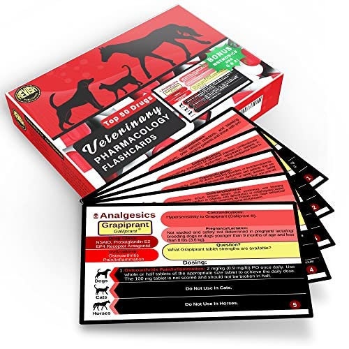 Veterinary Pharmacology Printable Flashcards | Instant DOWNLOAD | Vet ...
