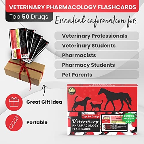 Veterinary Pharmacology Printable Flashcards | Instant DOWNLOAD | Vet ...