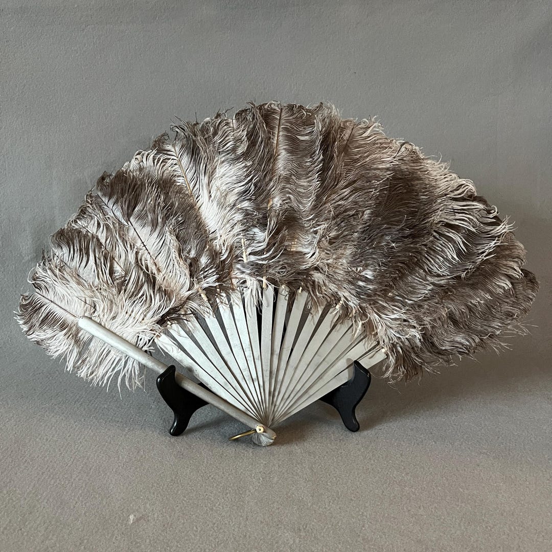 Ostrich Feather Folding Fan From 1900s - Etsy