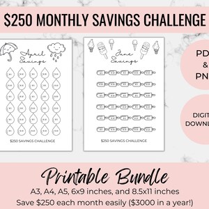 250 Dollar Monthly Savings Challenge Printable, Savings Tracker, PDF ...