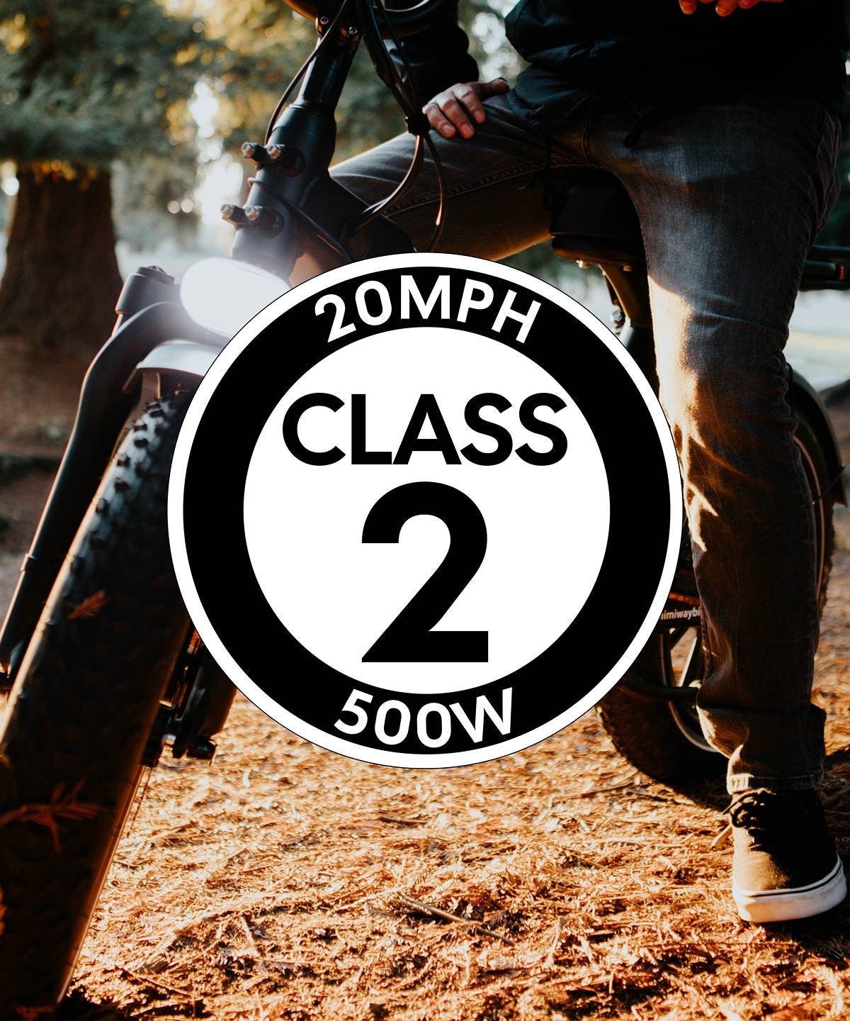 Ebike Sticker Class Electric Bike Decal Bicycle E-bike Cyclist Gift ...