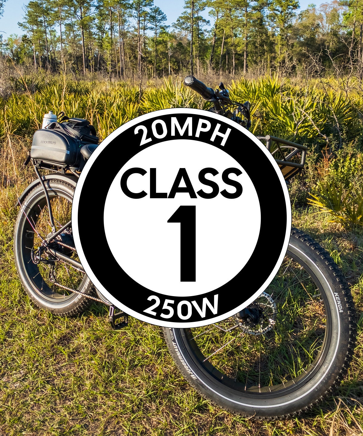 Ebike Sticker Class Electric Bike Decal Bicycle E-bike Cyclist Gift ...