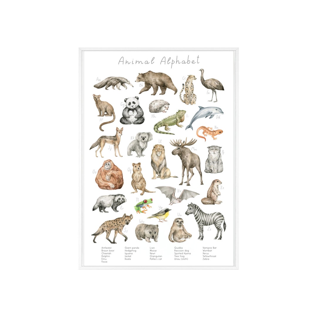 Animal Alphabets ABC Educational Poster, Classroom Decoration ...