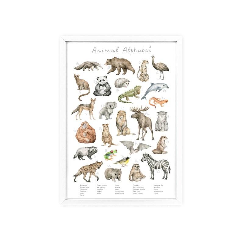 Animal Alphabets ABC Educational Poster, Classroom Decoration ...