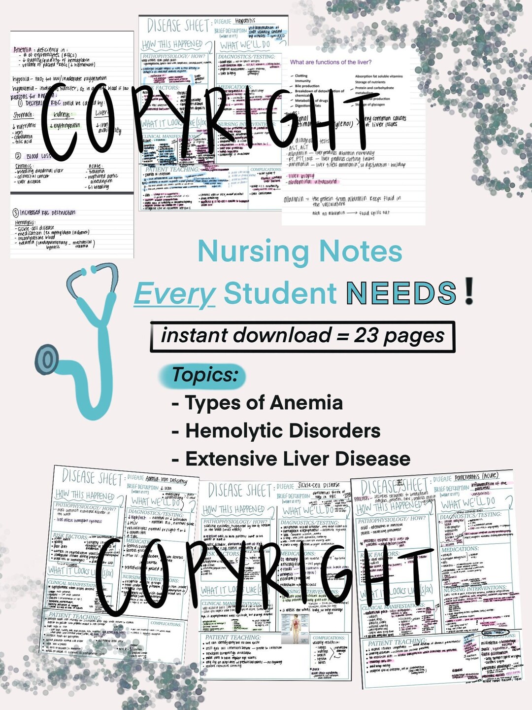 Nursing Study Bundle: Anemia/liver 23+ Pages for Download - Etsy