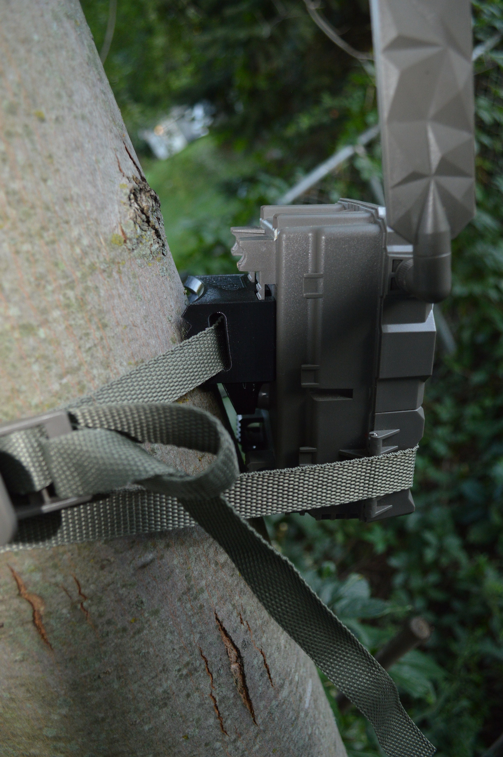 Tactacam Reveal X Angled Tree Mount - Etsy
