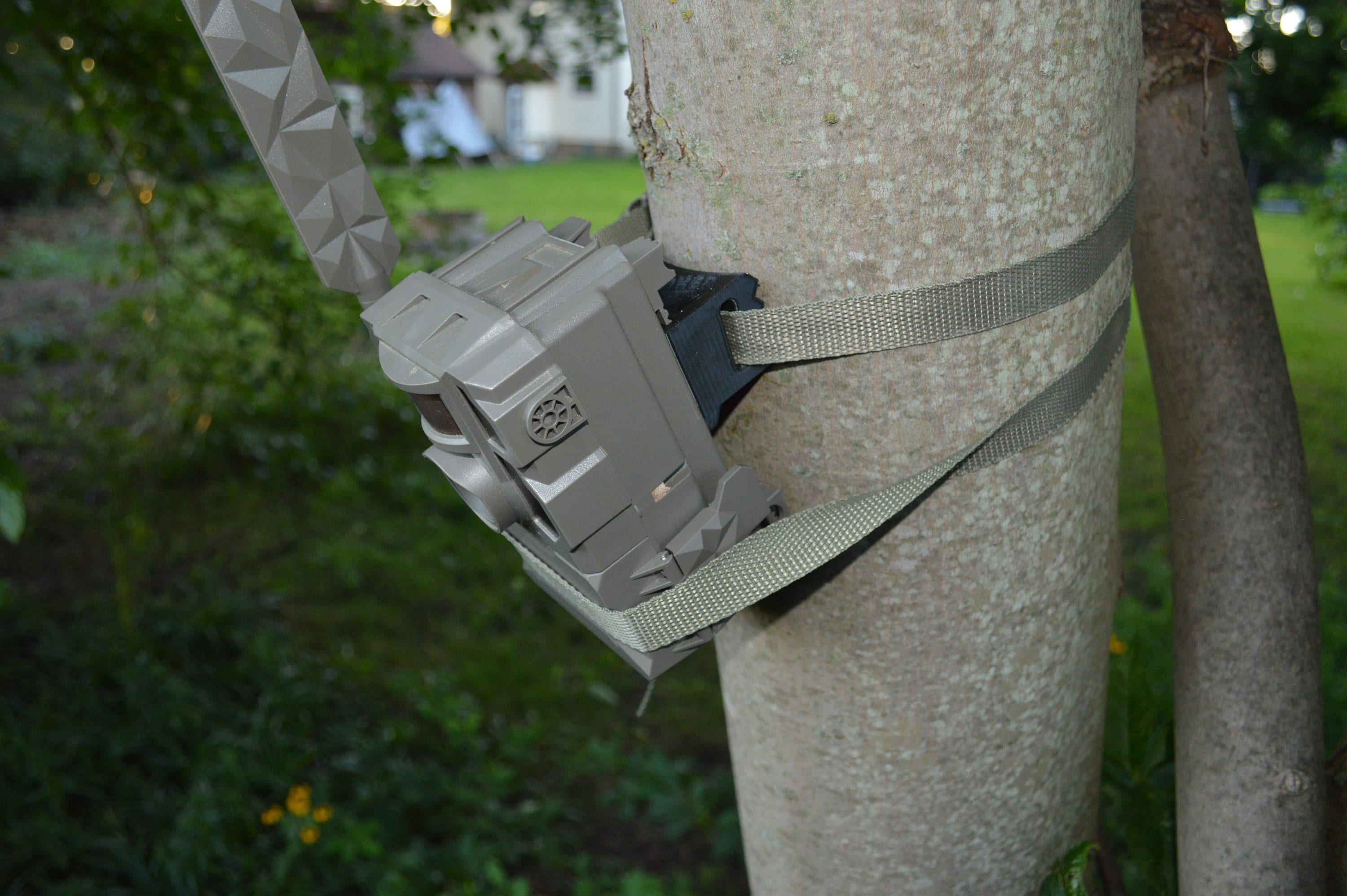 Tactacam Reveal X Angled Tree Mount - Etsy