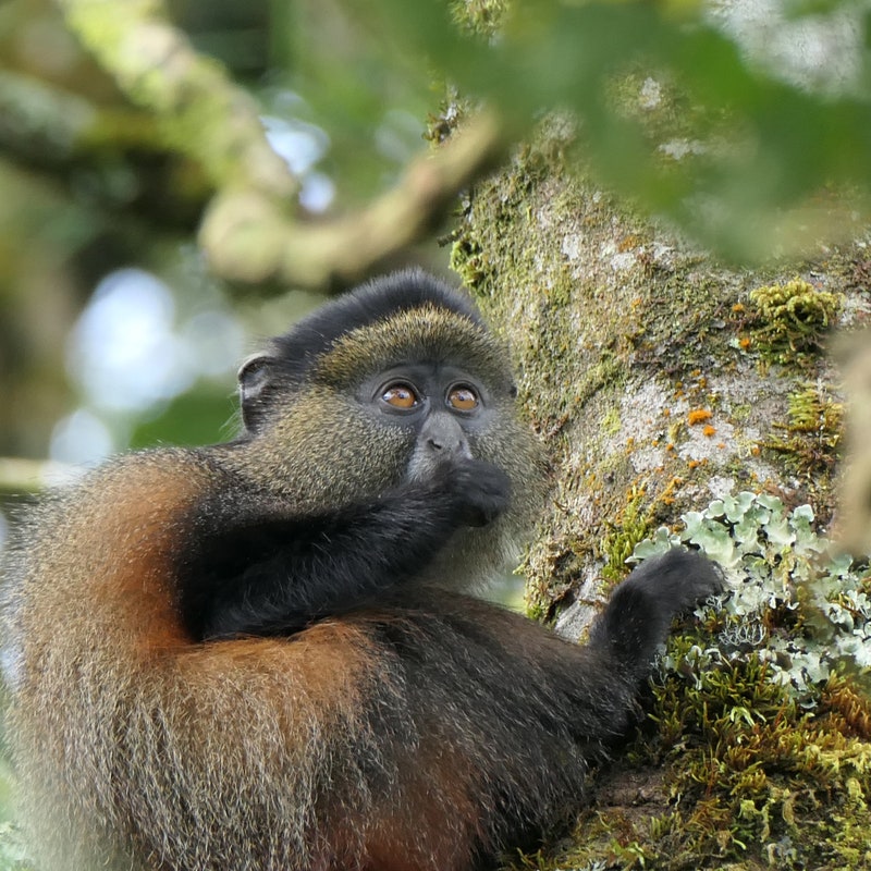 Exotic Photography - Etsy