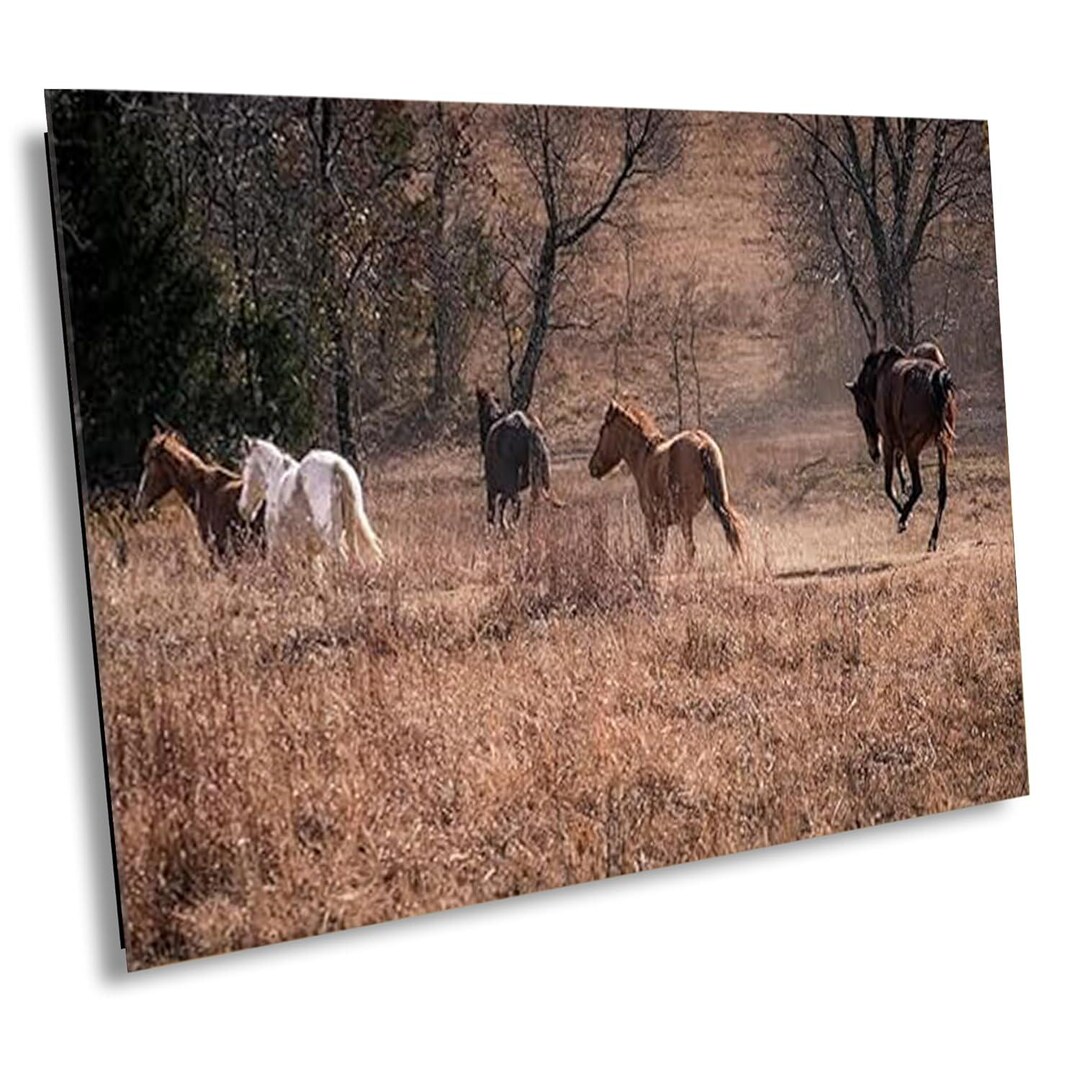 Another Wild Horse Stampede Canvas, Spooked Horses Running in Open ...
