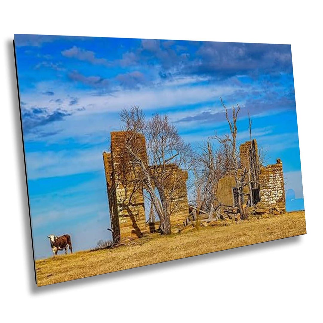 Cow at School Canvas, Captivating Rural Landscape Photo Print, Country ...