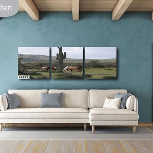 Gather Around the Cactus in Serene Field - Arizona, Salt River ...