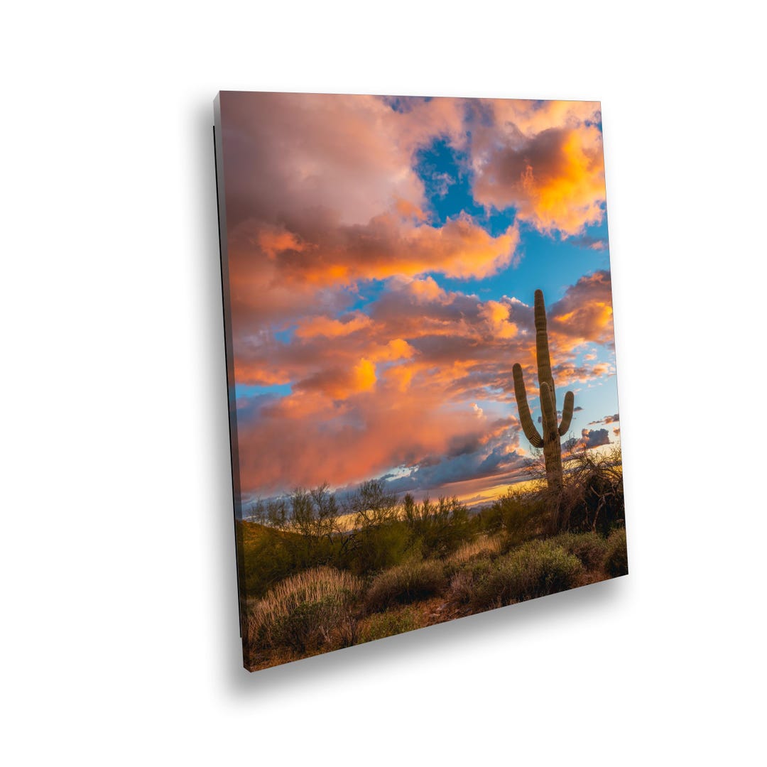Scottsdale Arizona Vertical Desert Sunset - Image With Saguaro Cactus ...