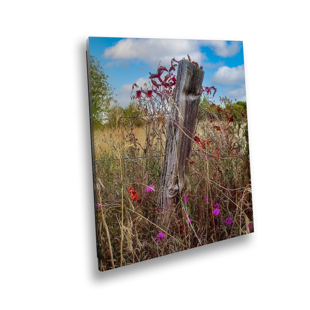 Colorful Fall Country Barbwire Fence Post - Stand Tall, an American ...