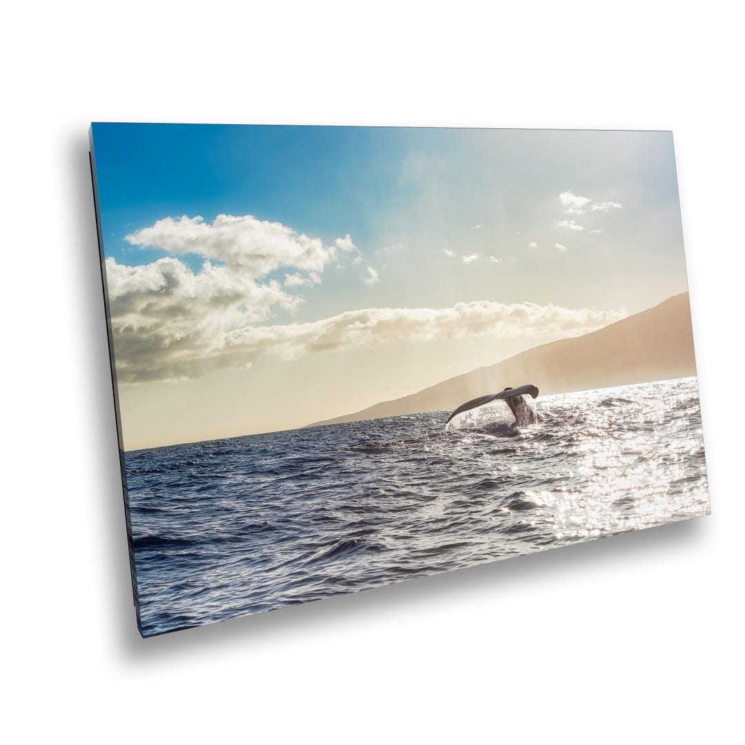 Goodbye Whale Tail Maui Art Wall Decor Print Diving Near Lahaina Hawaii ...