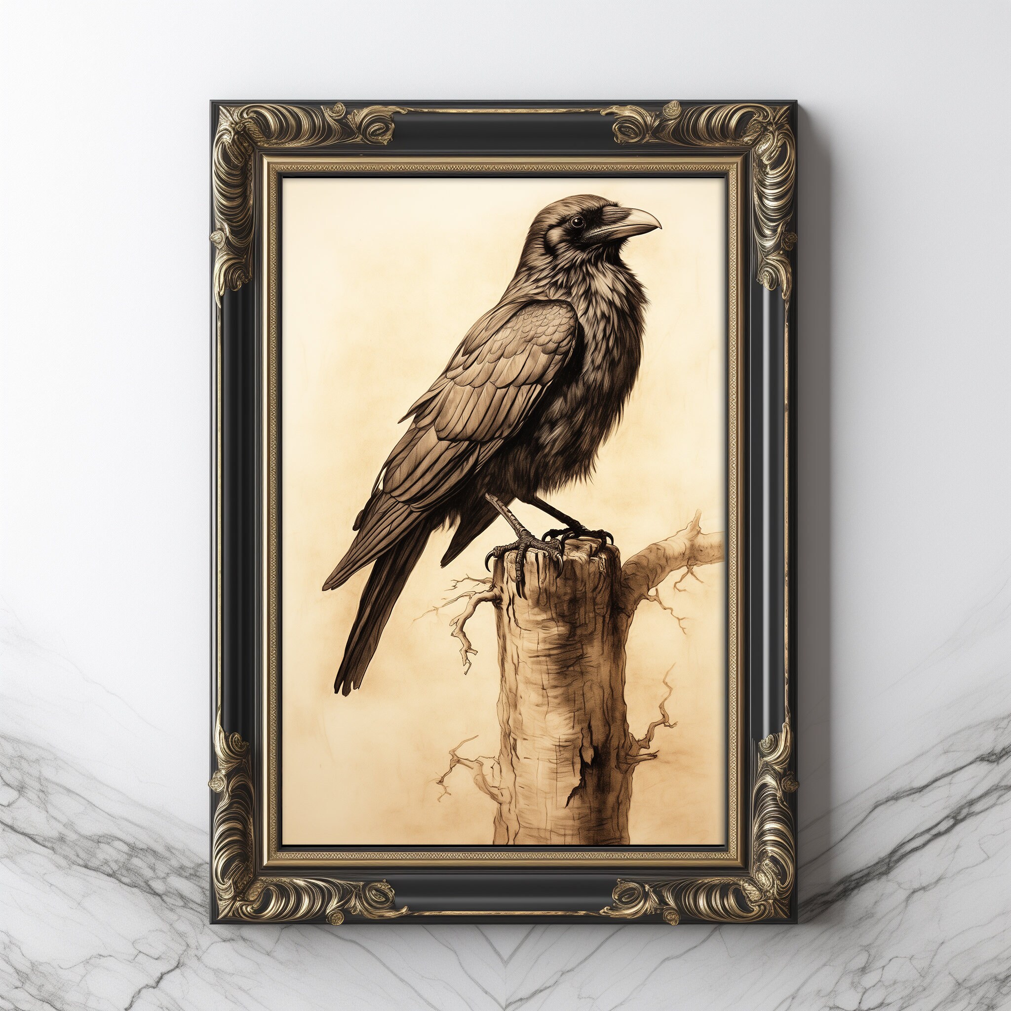 Raven Fine Art Print, Dark Academia Wall Art, Raven Picture, Raven ...