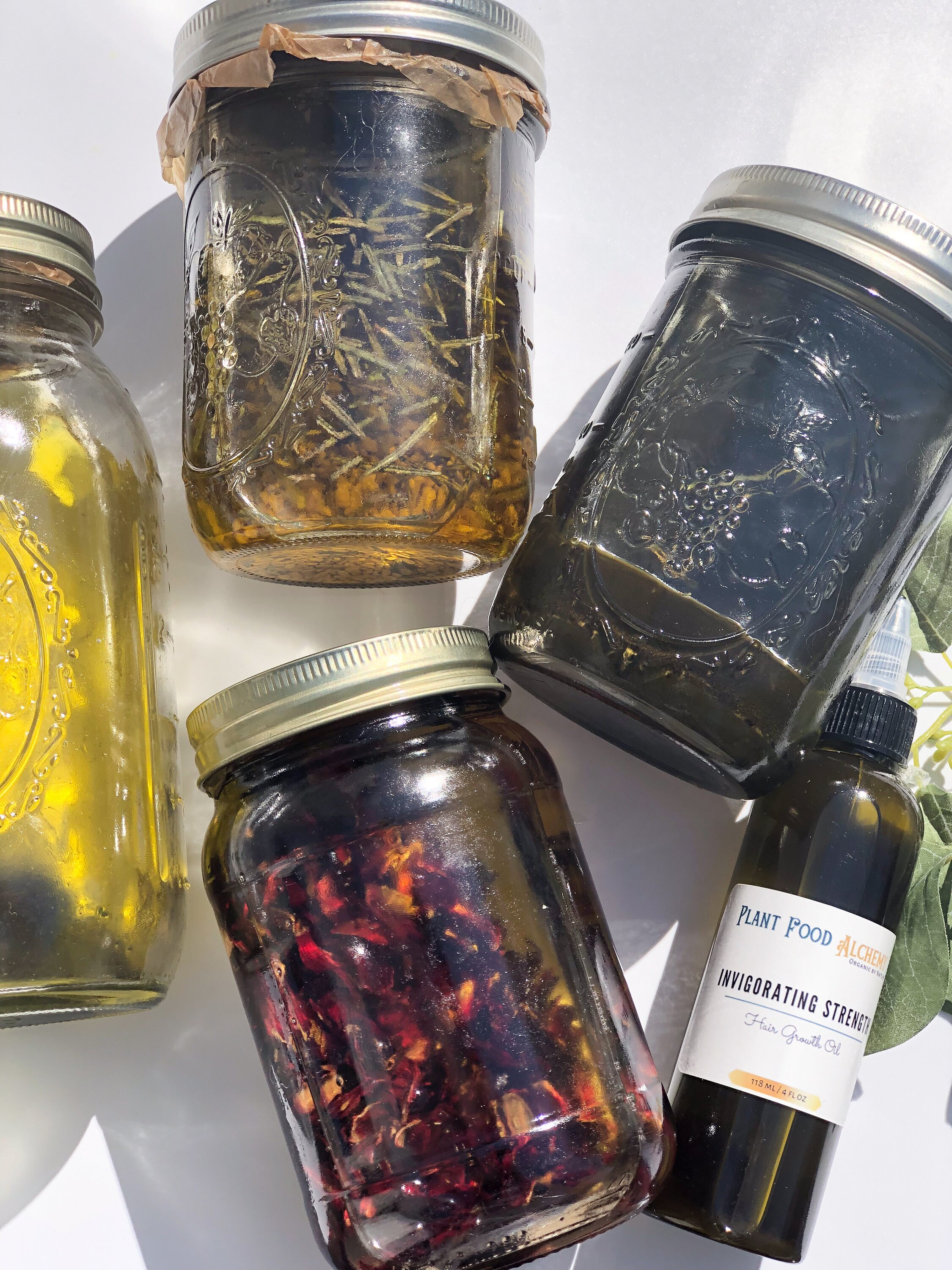 Moringa Aloe Vera Hair Growth Oil Organic Ayurvedic Hair Oil for Hair ...