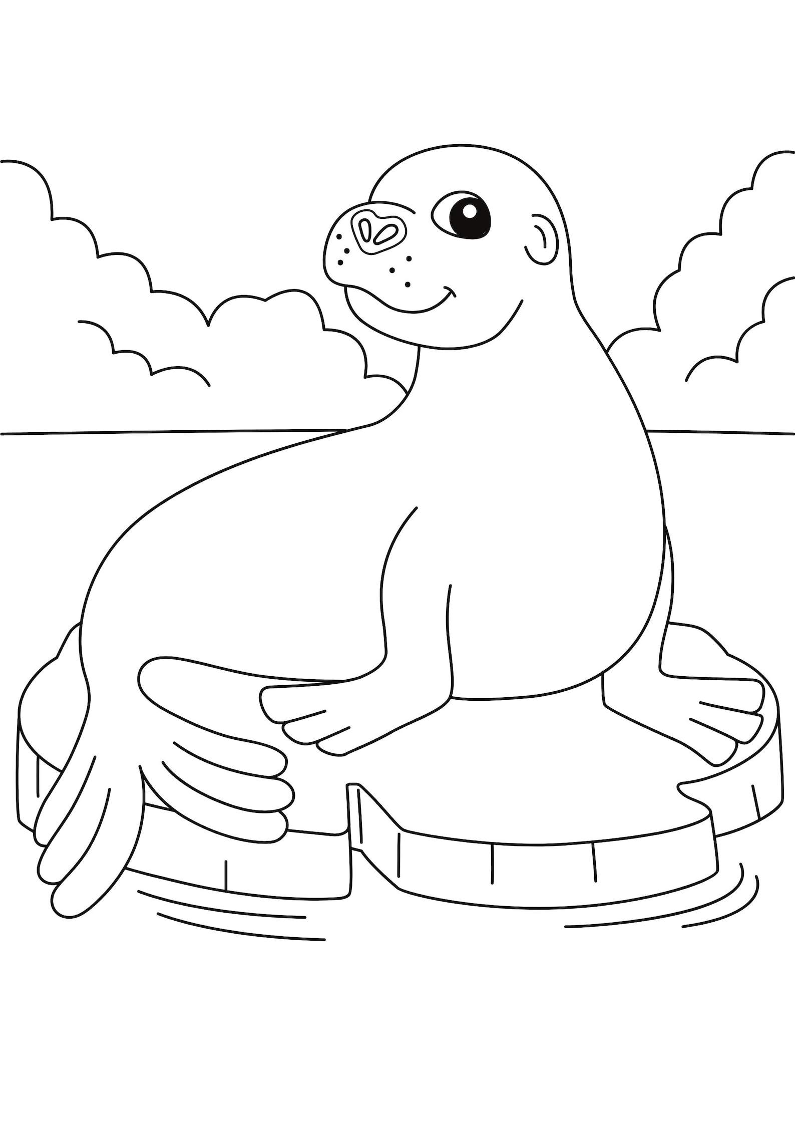 Printable Animal Colouring Sheets-printable Activity Bundle-colouring ...