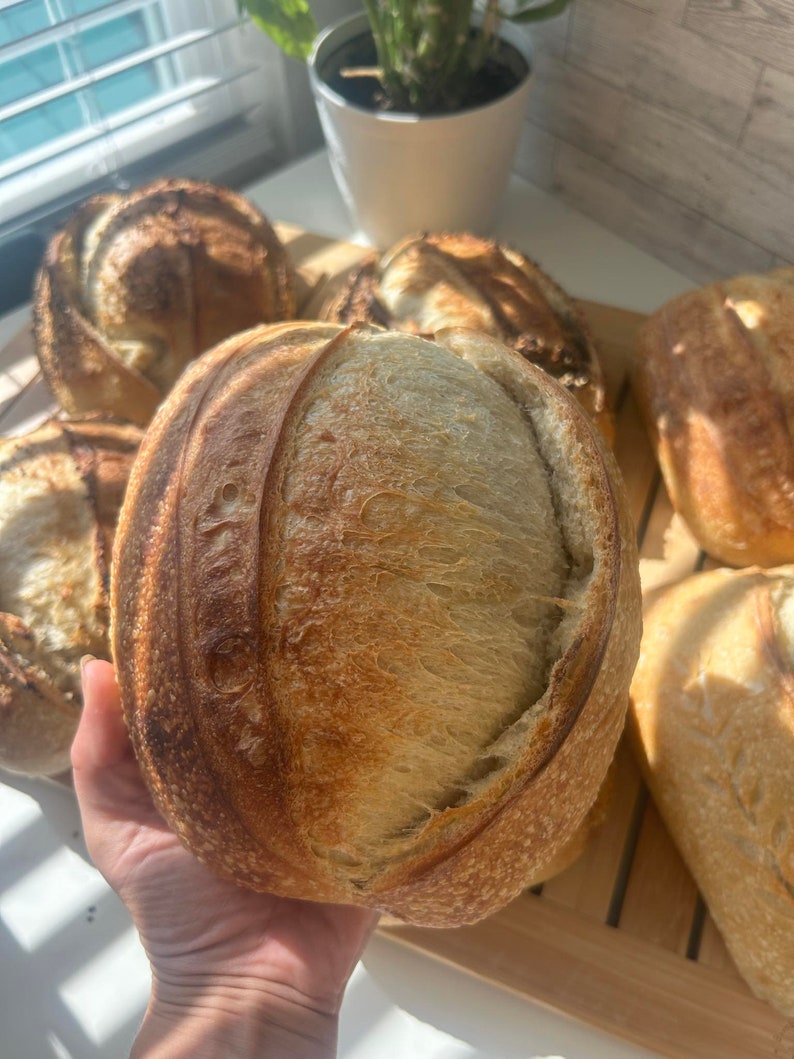 Sourdough Bread Recipe, Artisan Starter, Step-by-step (digital Download ...