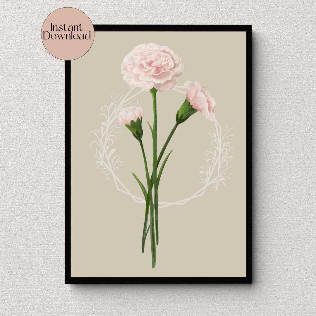 January Carnation Birth Month Flower Gift Birth Month Gift Birth ...