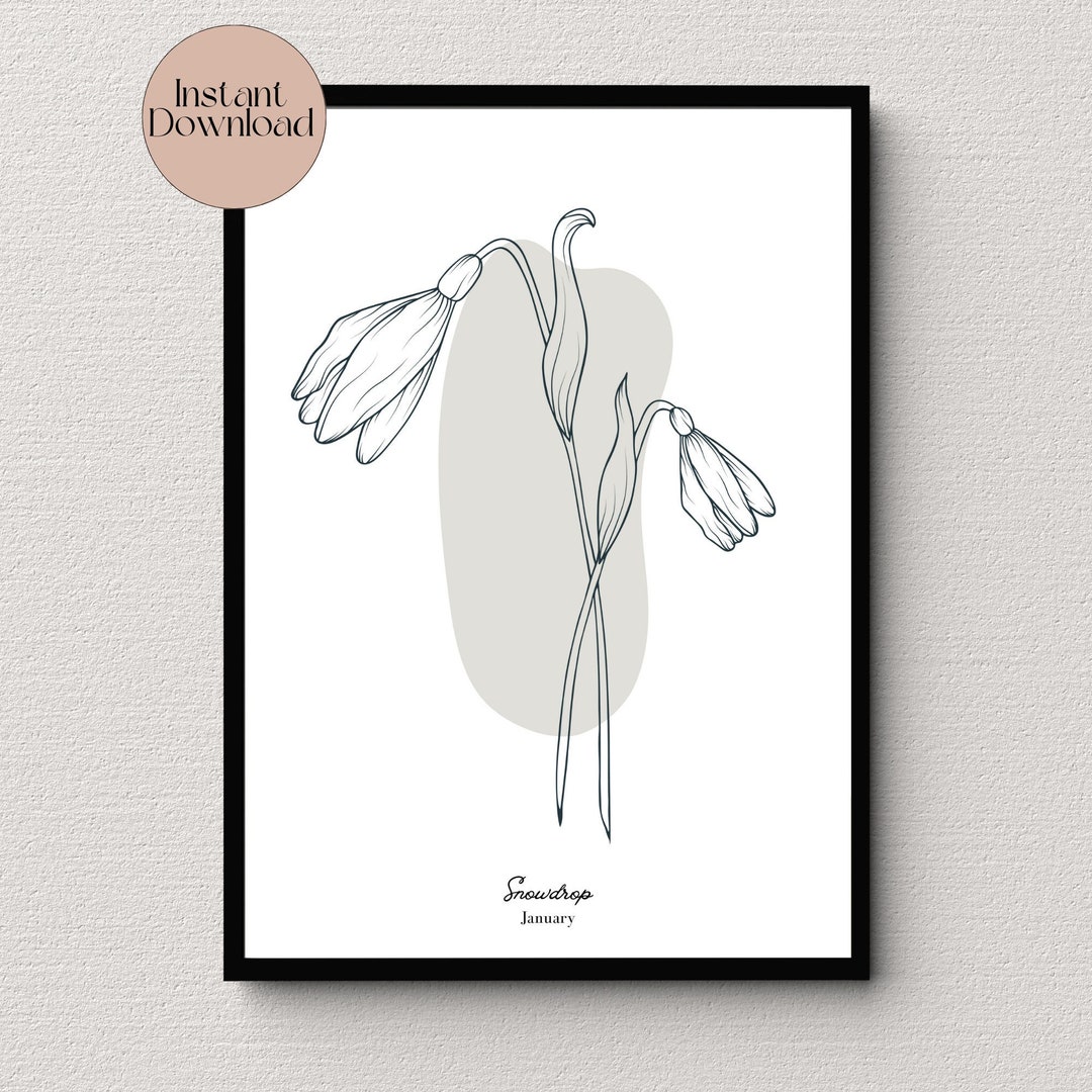 January Snowdrop Birth Month Flower Gift Custom Birth Month Flower Gift ...