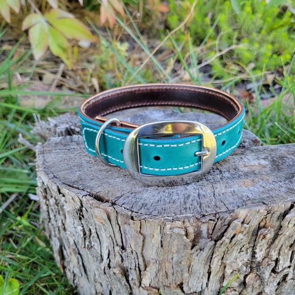 Turquoise Dog Collar - Etsy