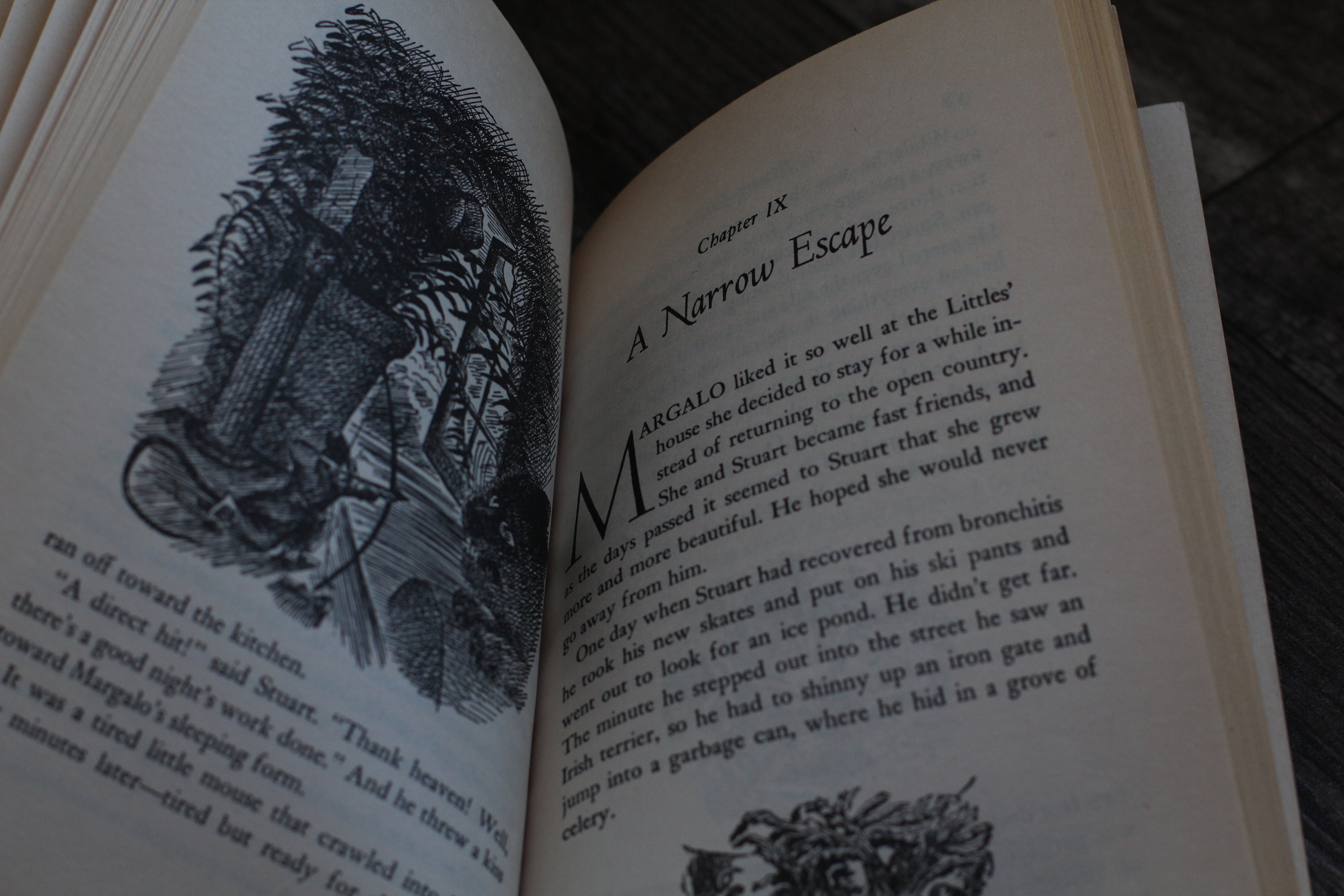 Stuart Little E.B. White Children's Book Well Known - Etsy