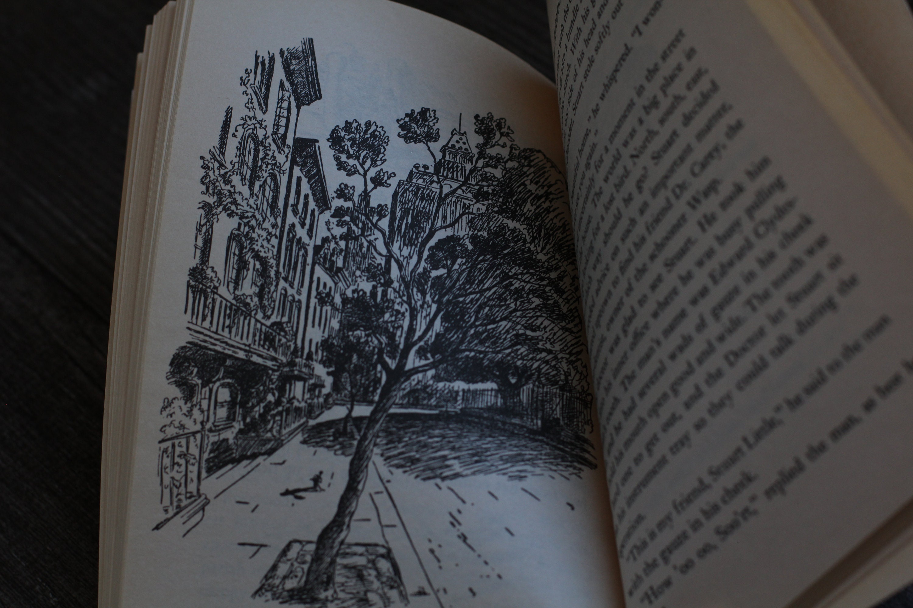 Stuart Little E.B. White Children's Book Well Known - Etsy