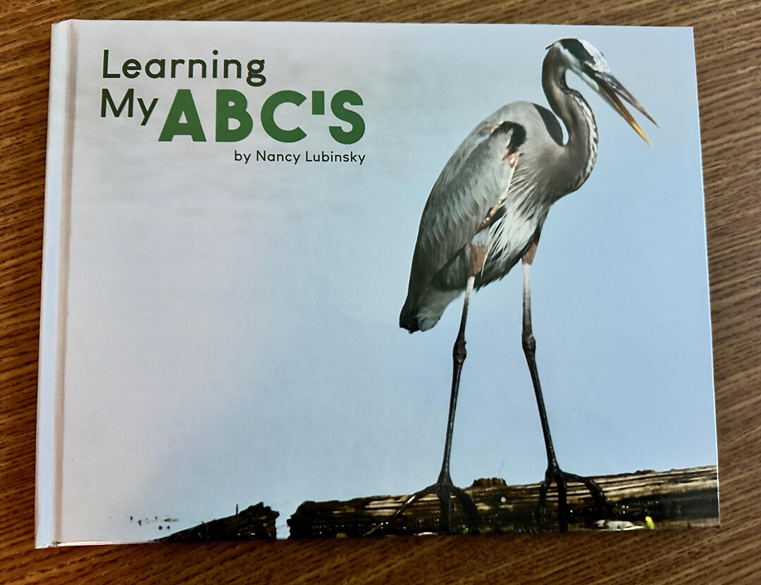 Learning My Abc's - Etsy