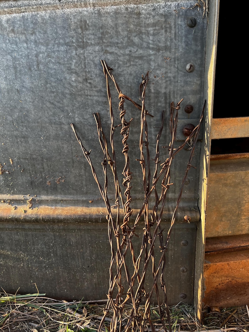 Rusted Barbed Wire Bundle Sticks (12+): Vintage Farmhouse Craft Supply ...