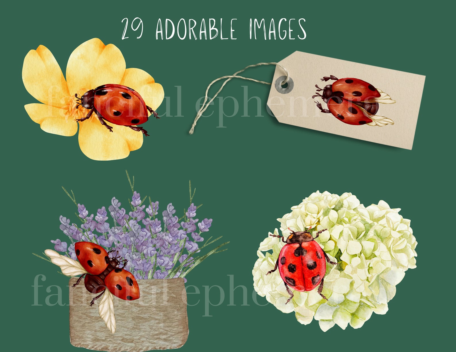 Lively Ladybugs Clip Art Imagery PNG & SVG, Ladybug Ephemera, Spring ...