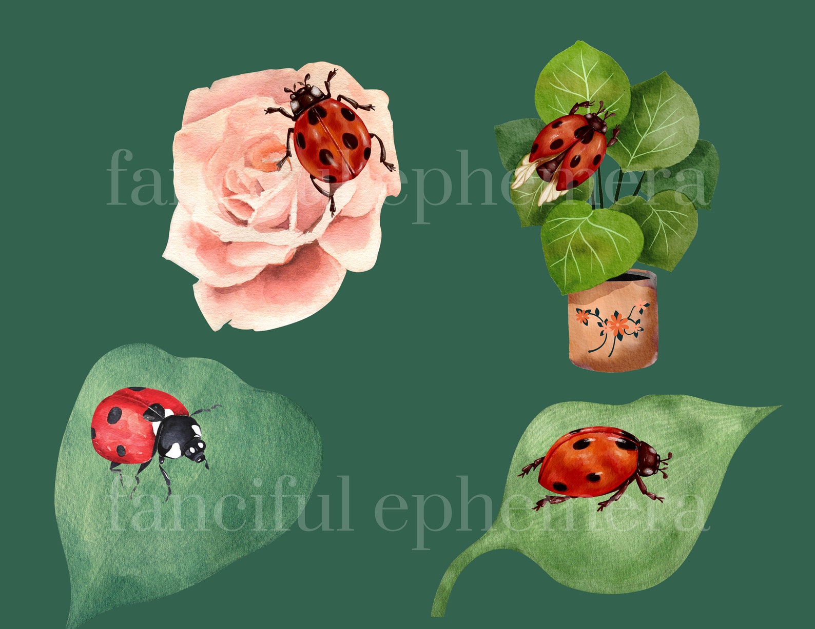 Lively Ladybugs Clip Art Imagery PNG & SVG, Ladybug Ephemera, Spring ...